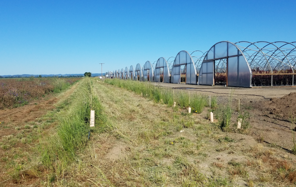 Agriculture Water Quality Program - Yamhill Soil & Water Conservation ...